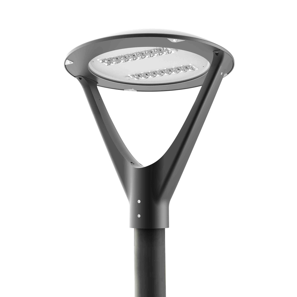 ELIPSIA | Kapsea Store